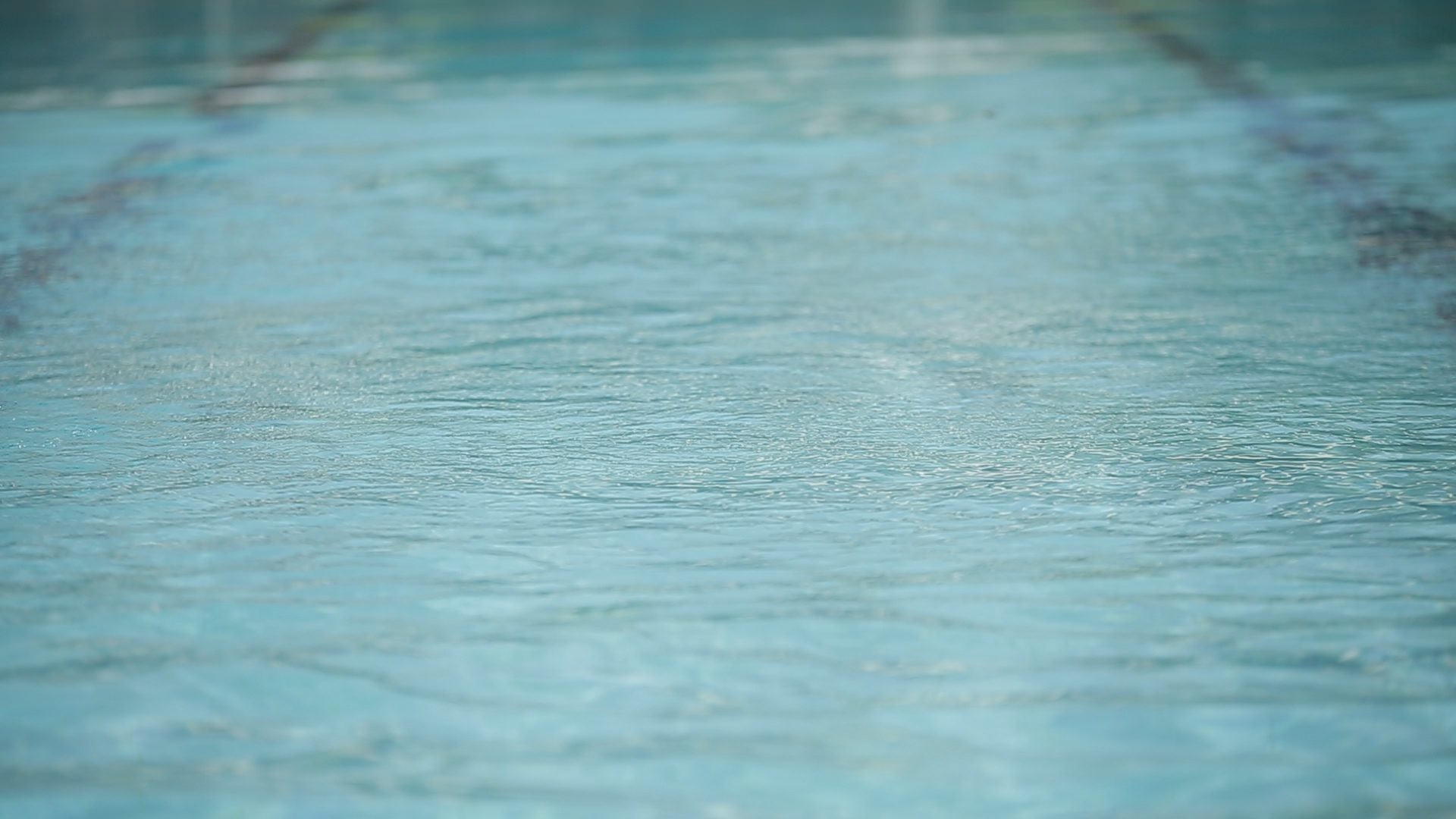 Home Page | Country Lodge